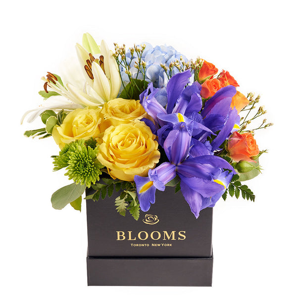 Iris Gifts | Bursting Beauty Iris Box Arrangement | Connecticut Blooms ...