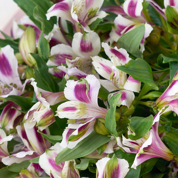 Ivory Dreams Lily Bouquet | Lily Gifts | Connecticut Delivery ...