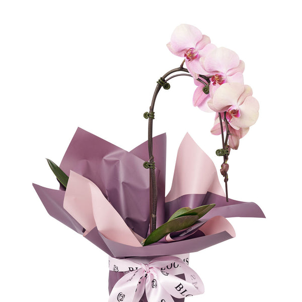 Wine Gifts | Pure & Simple Flowers & Wine Gift – Connecticut delivery ...