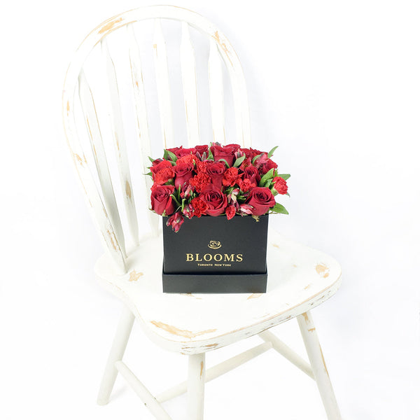 Rose Gifts | Red Radiance Box Rose Set - Connecticut Delivery ...